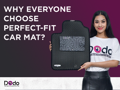 Why Everyone Chooses Perfect Fit Car Mat? – Dodo®