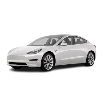 TESLA | Dodo® Car Mat Malaysia